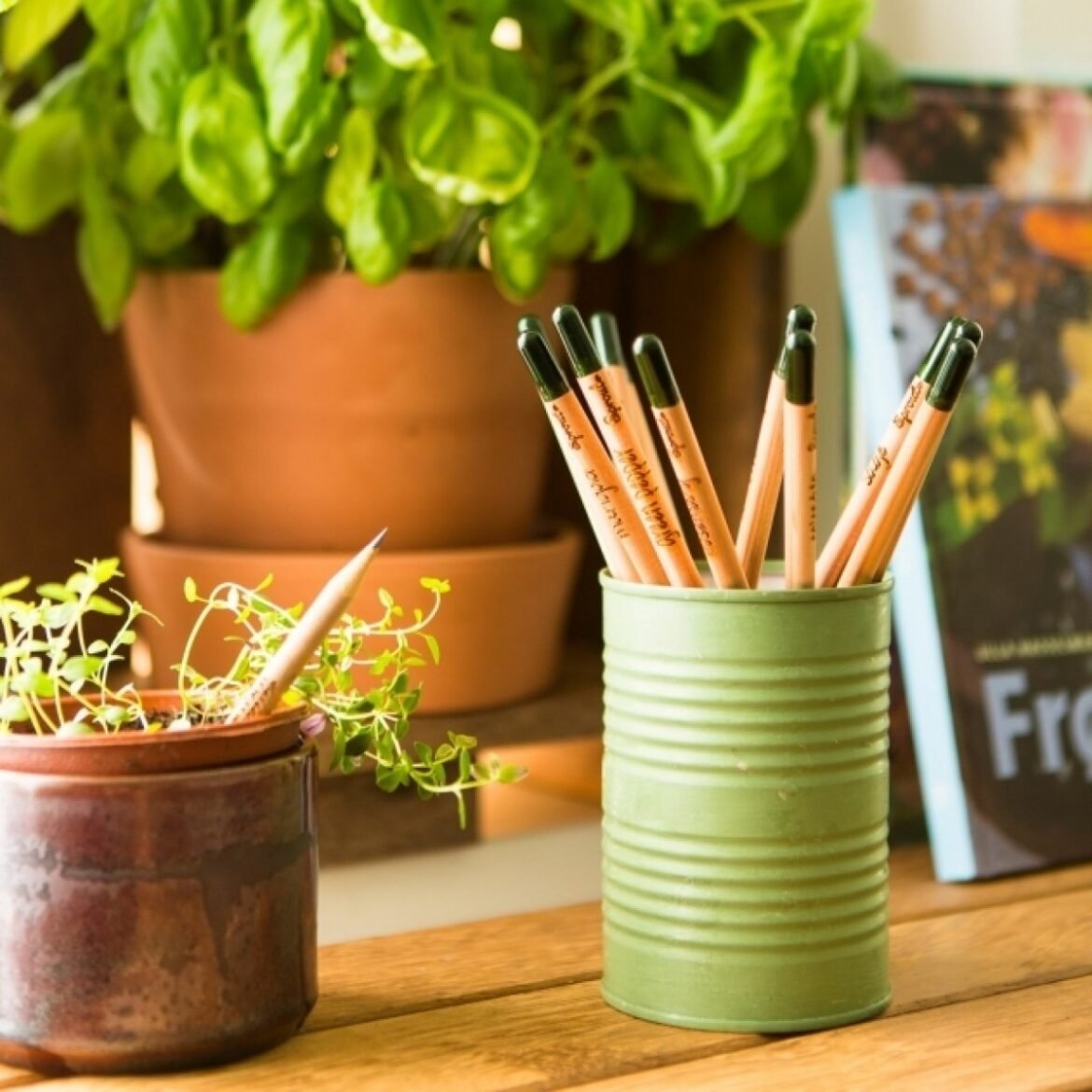 Sprout Pencil: lápis que se transforma em uma planta após o uso ...